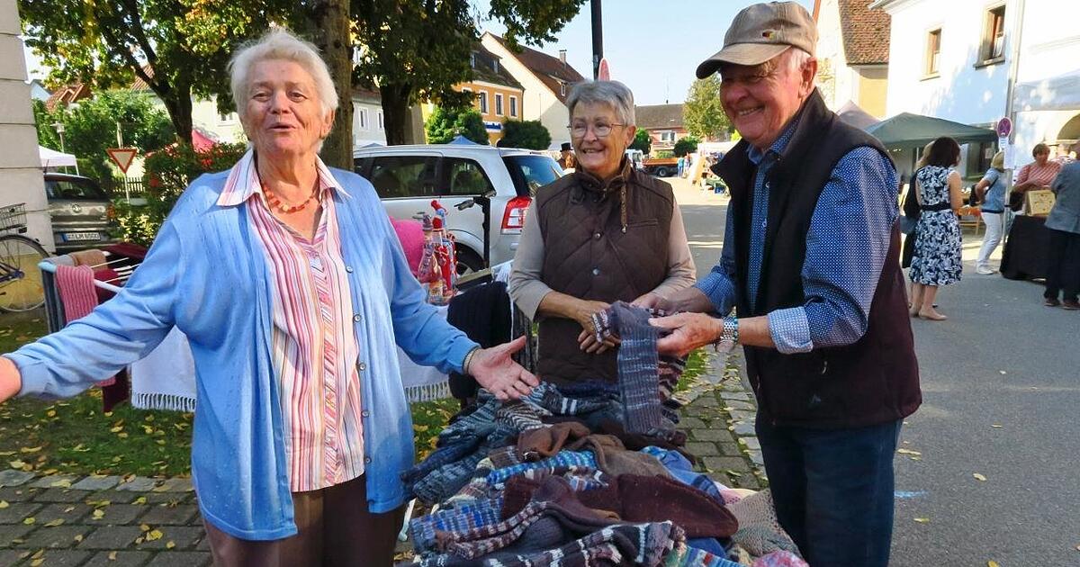 Vielfalt trifft Engagement: So lief der Herbstmarkt in Pfatter