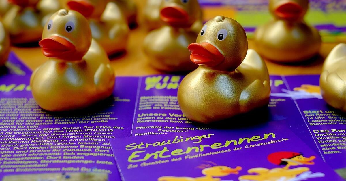 Formel-Duck: Straubinger freuen sich auf Entenrennen