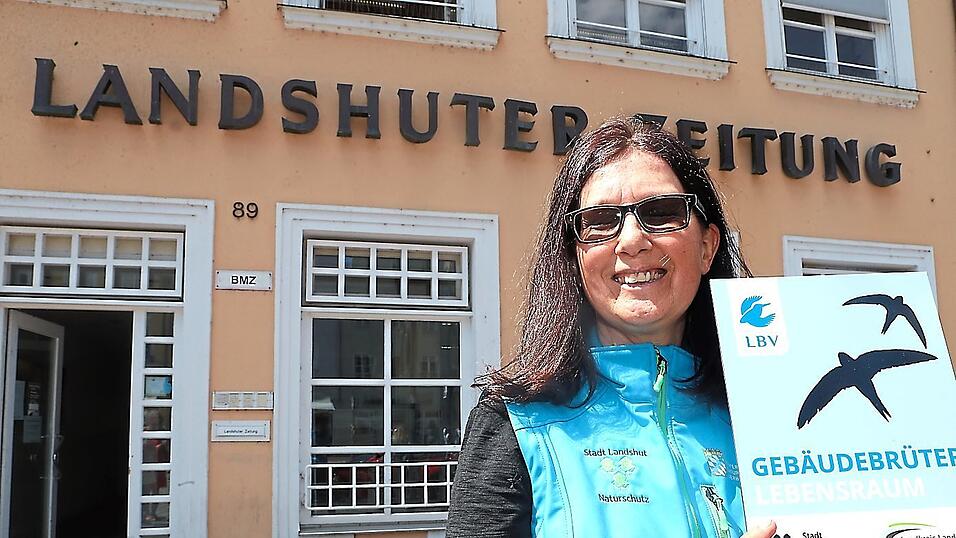 Gebt Gebäudebrütern eine Chance