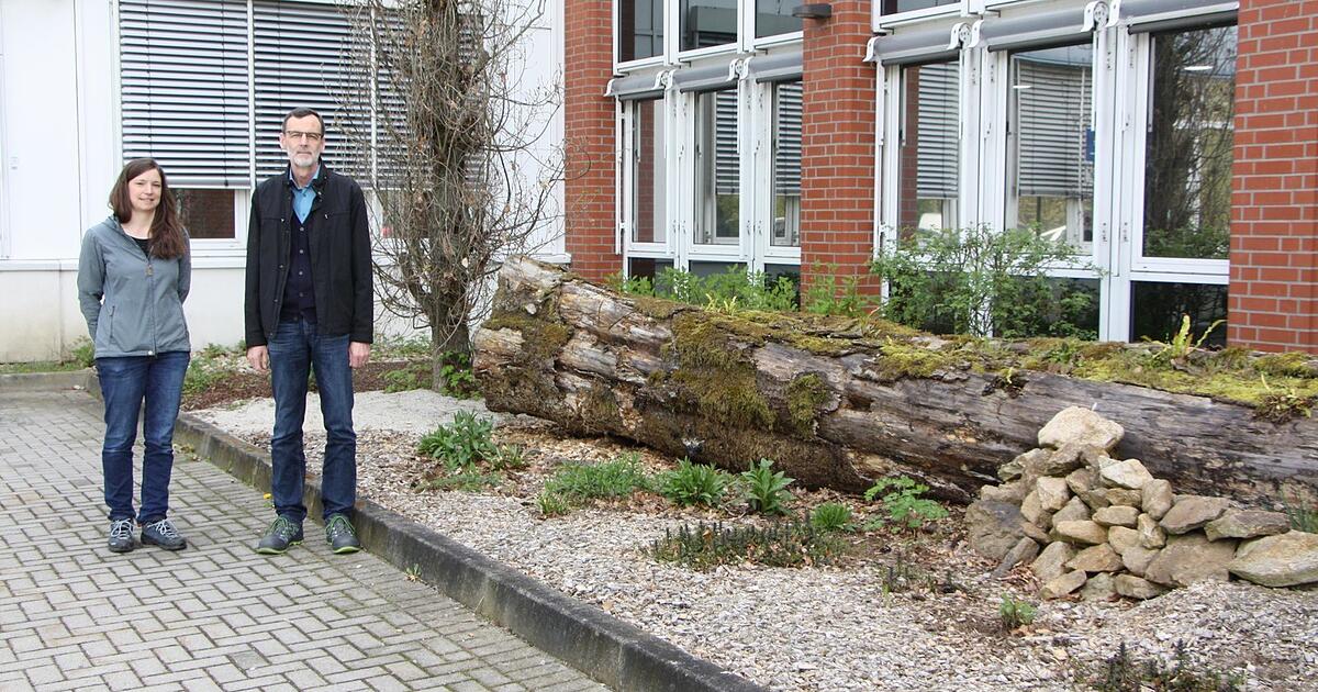 Ensinger in Cham setzt auf neue Energieformen und Biodiversität