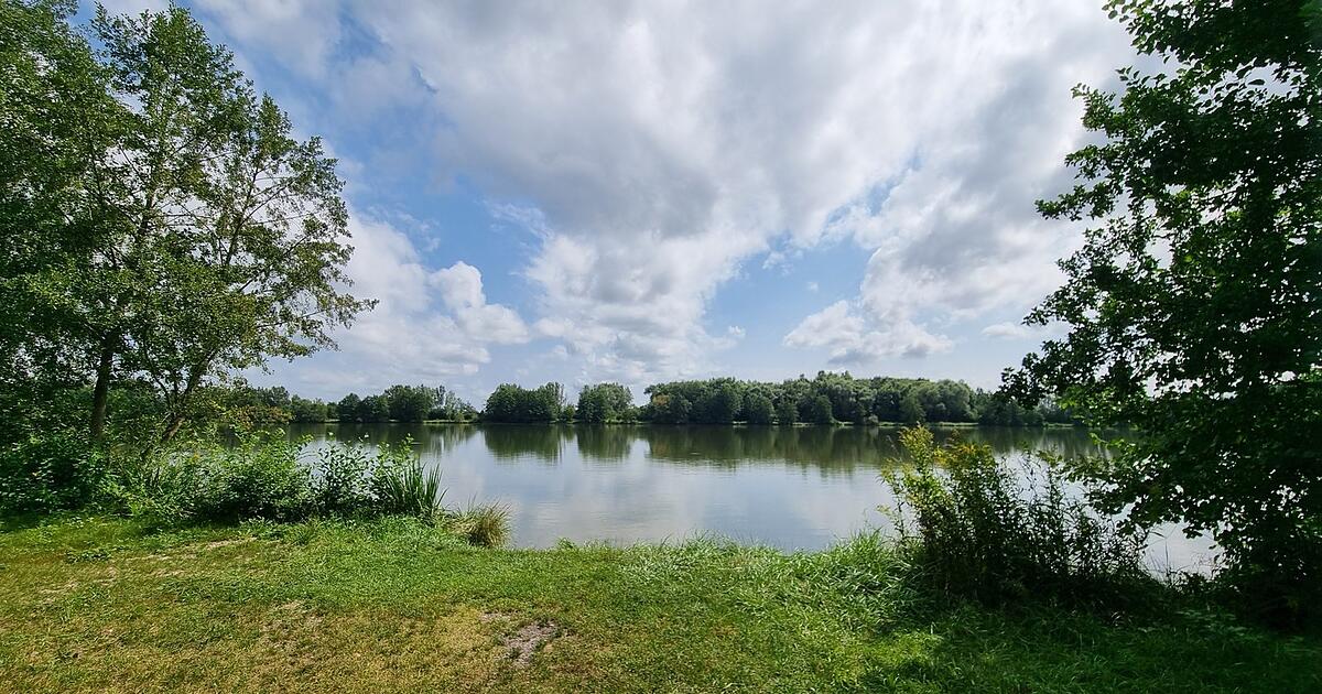 Der 'Badestrand' im Obermotzinger Donauvorland