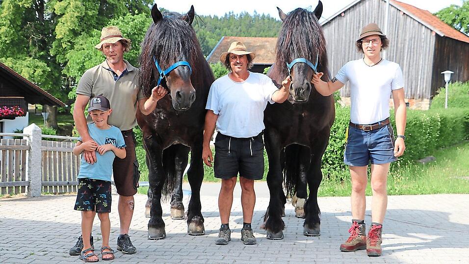 Zwei Bad Kötztinger Pferde tragen den bayerischen Herzog