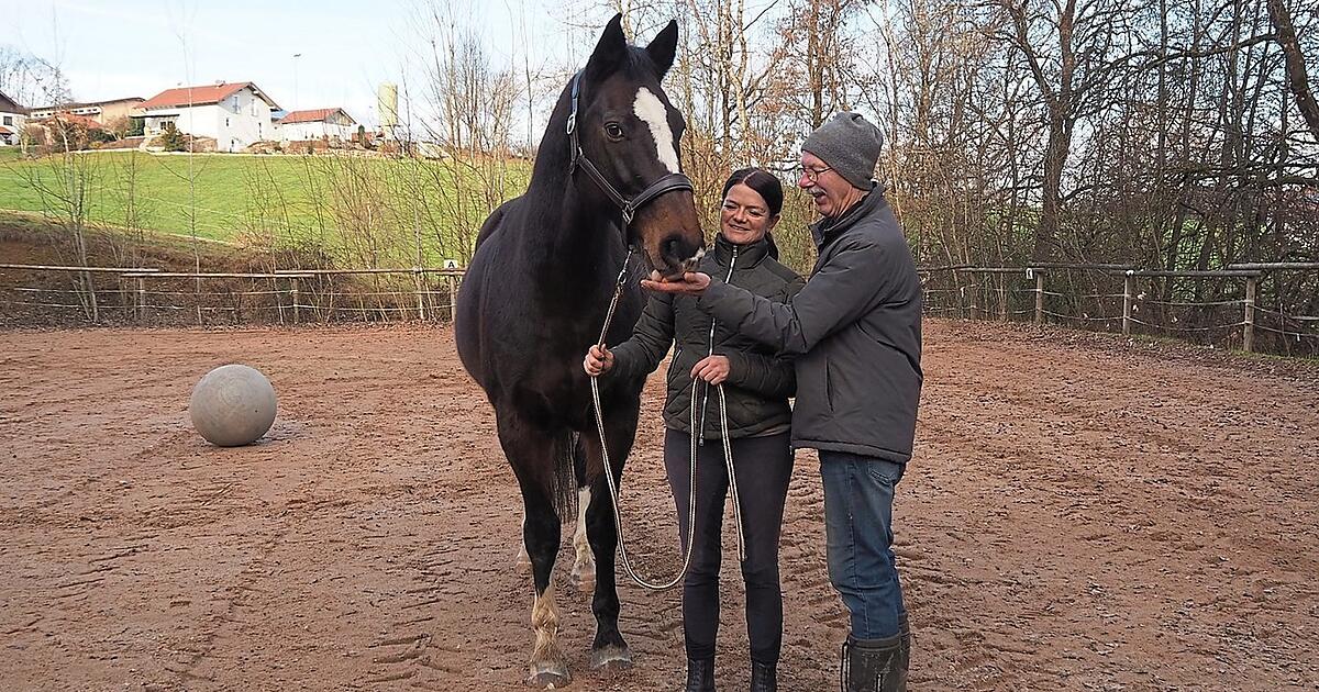 Wie die Pferde von Tanja Bach zu Therapeuten wurden