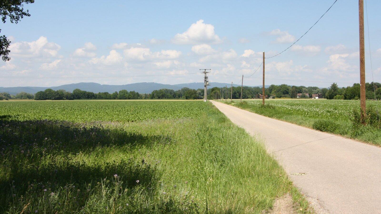 Planfeststellung für Flutpolder bei Straubing wird beantragt