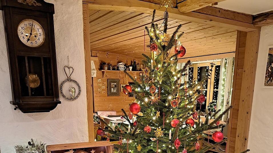 Das sind die schönsten Christbäume der Landshuter