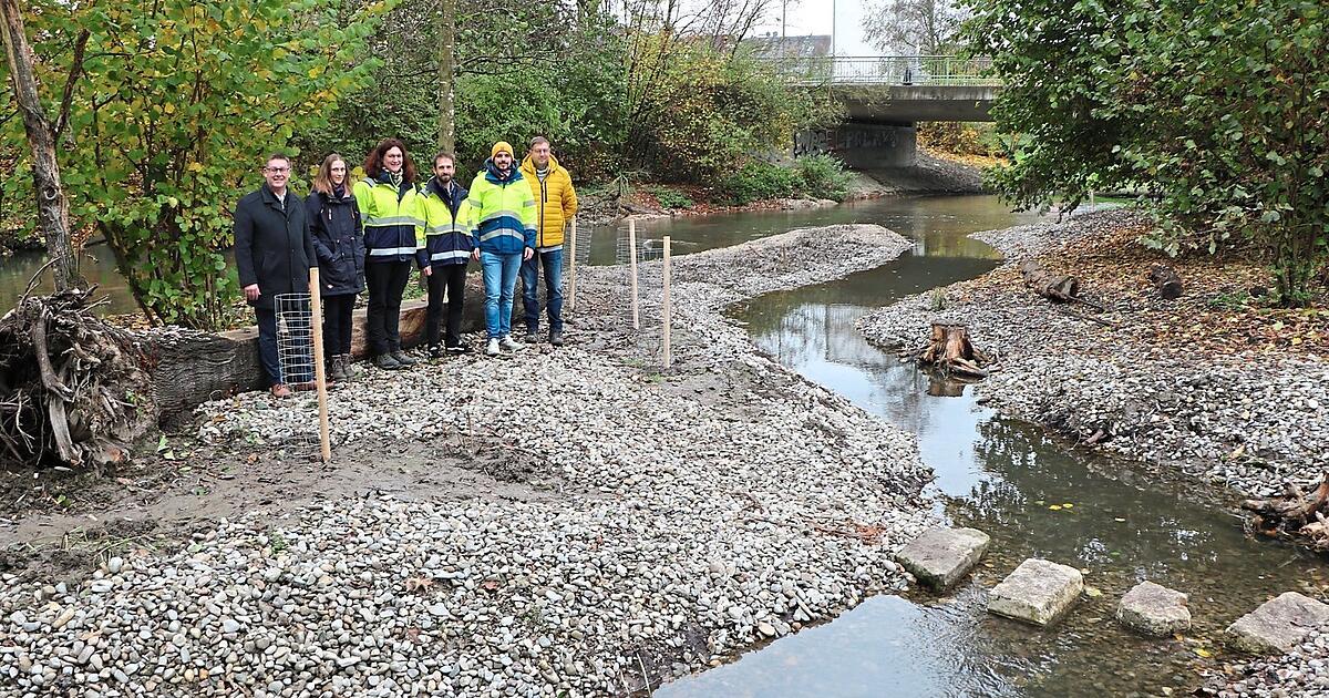 Renaturierung der Abens in Mainburg mit Mehrwert