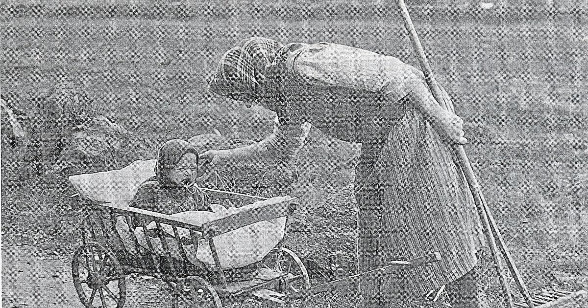 'Schej is gwen, aber hirt'