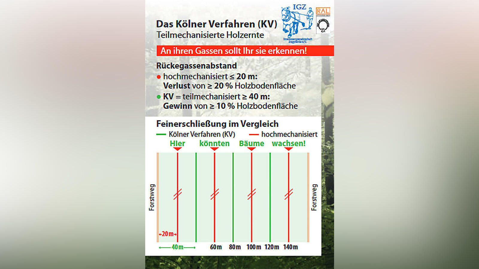 Mit Pferderückung Niederbayerns Waldboden schonen