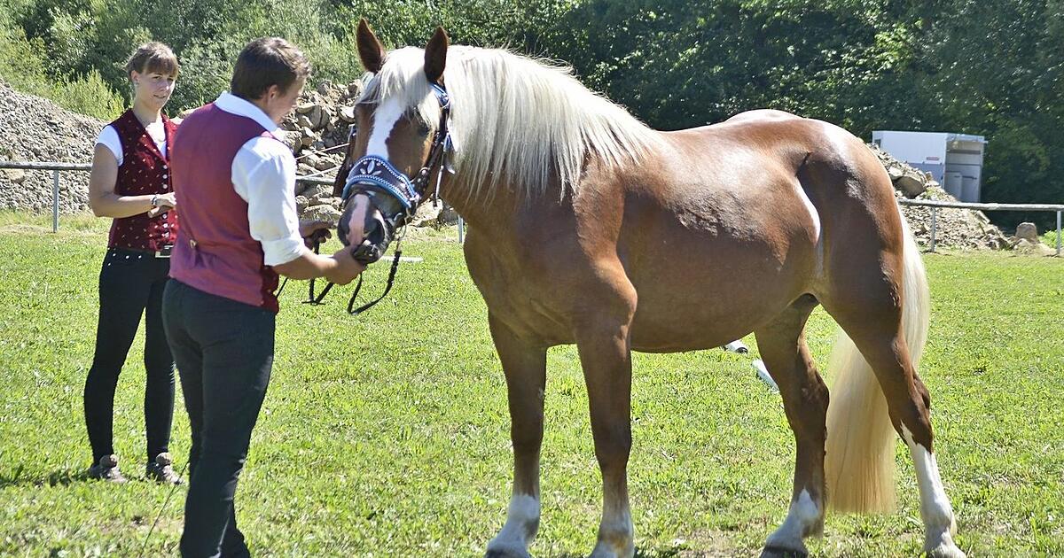 Philena ist die Schönste