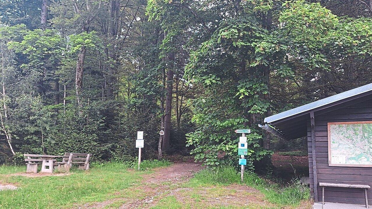 Auf der Rusel unter Bäumen zur letzten Ruhe gebettet