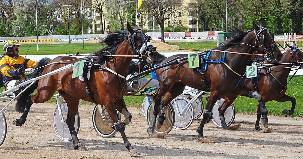 Volksfestrennen der Traber