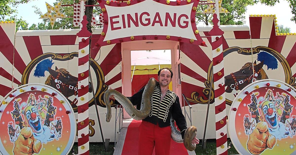 So ging es dem Circus Feraro während Corona