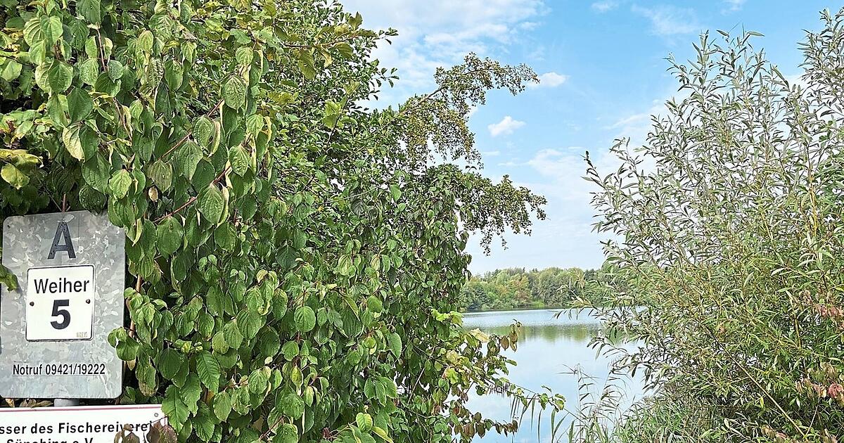 80-Jähriger ertrinkt in Attinger Weiher: Wenn jede Hilfe zu spät kommt