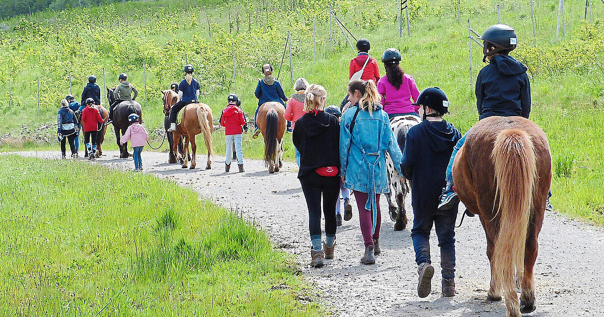 Was das Ferienprogramm im Landkreis Landshut zu bieten hat
