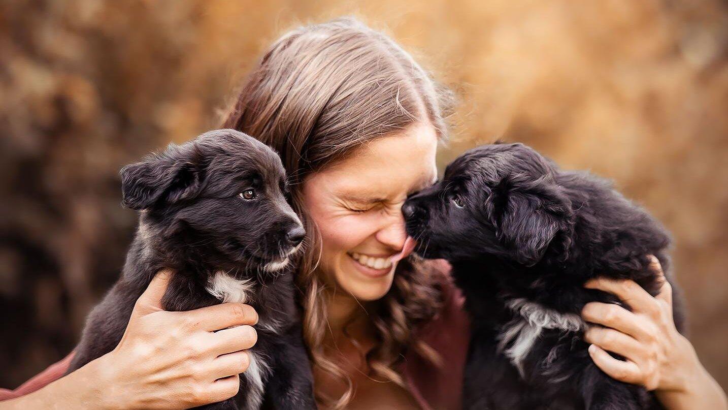 Barbara Geiger aus Arrach züchtet Australian Shepherds