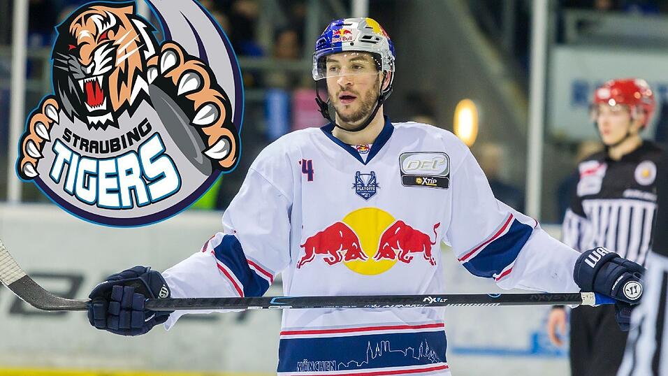 Straubing Tigers verpflichten Steve Pinizzotto aus München