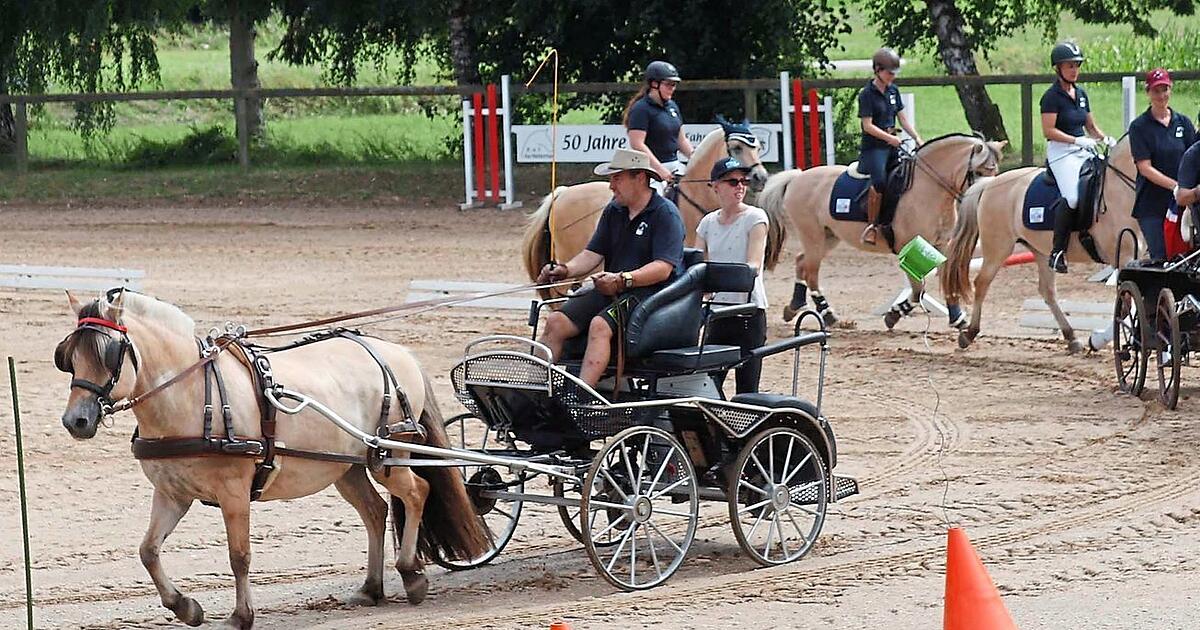 Reit- und Fahrverein Au präsentiert bei Jubiläum Bandbreite des Sports