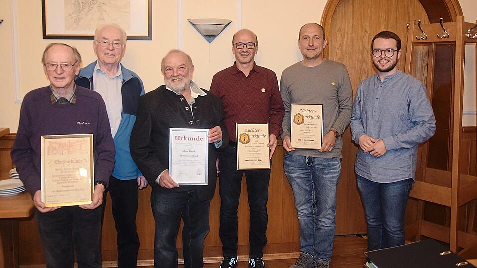 Imker haben geringen Honigernte zu beklagen