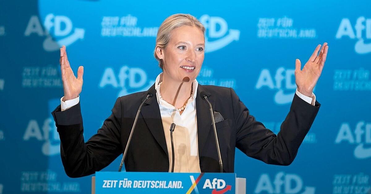 Die AfD provoziert mit rechtsextremen Parolen