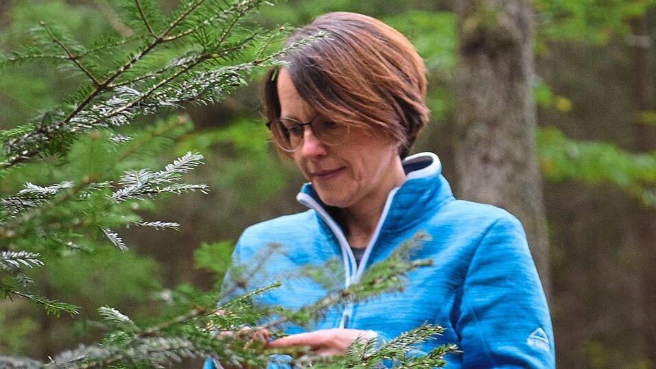 Auszeit im Wald