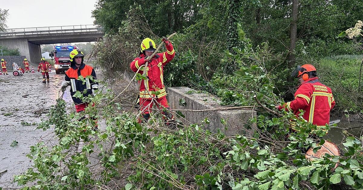 Gewittersturm fegt im Landkreis Straubing-Bogen viele Bäume um