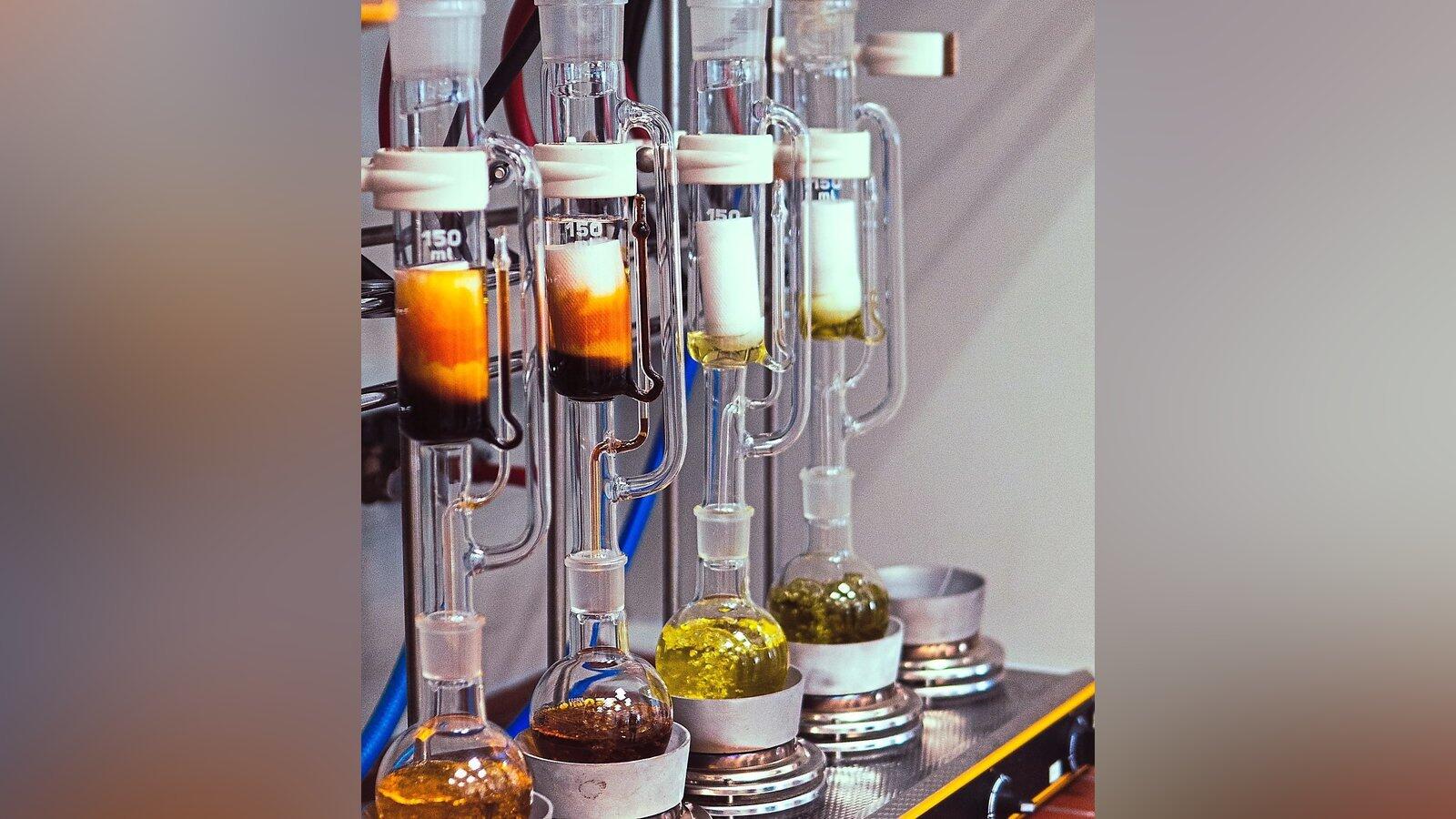 Extraktion der Essenzen aus der Natur