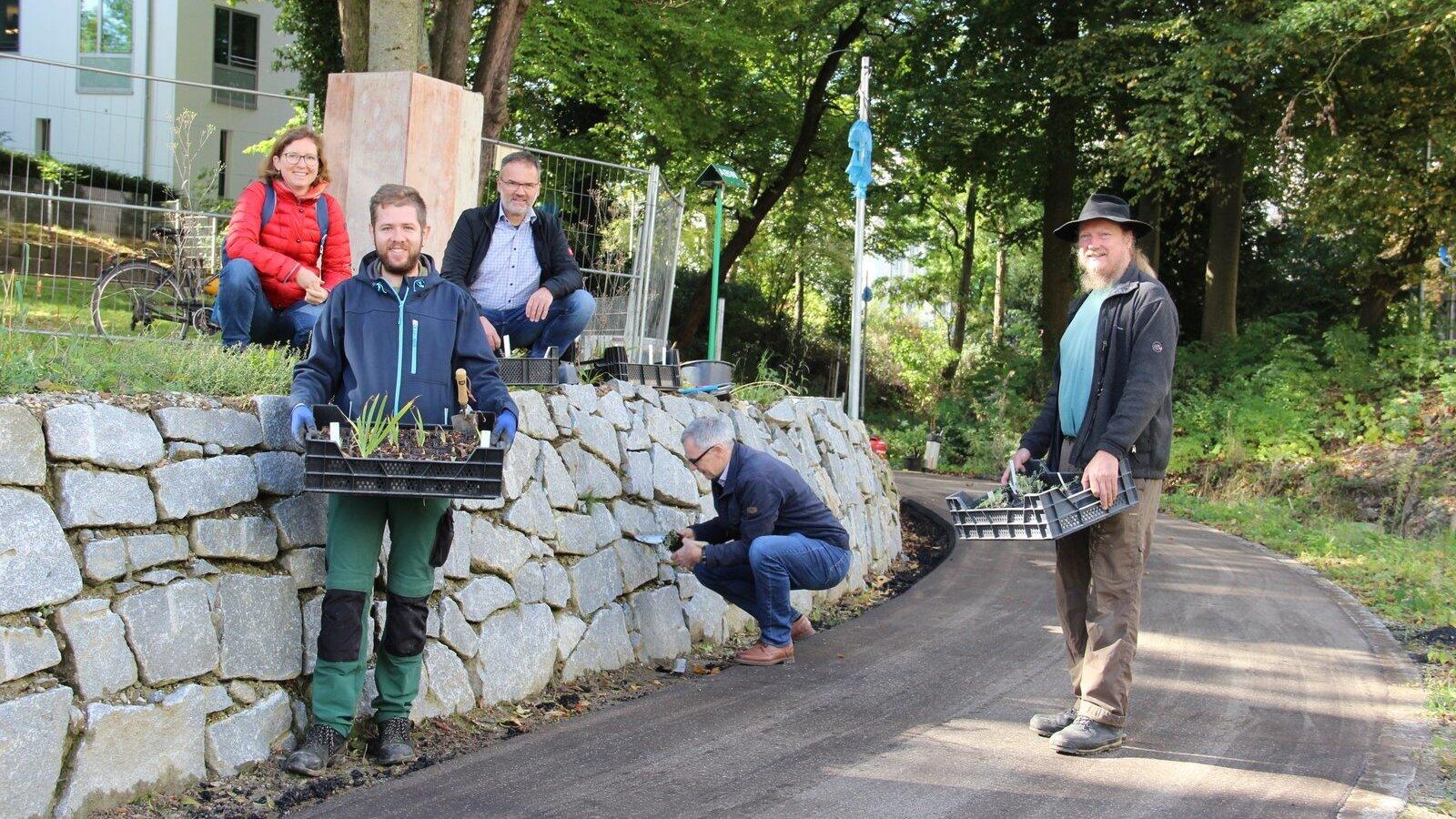 Gefährdete Pflanzen werden Stadt-Bewohner