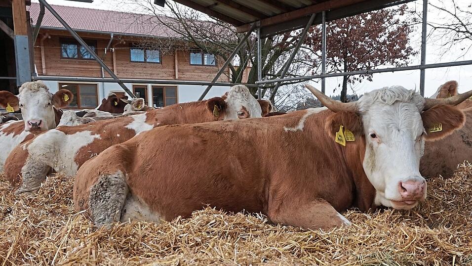 Berl's Biomilchhof: Eine eigene Molkerei mit Hofladen