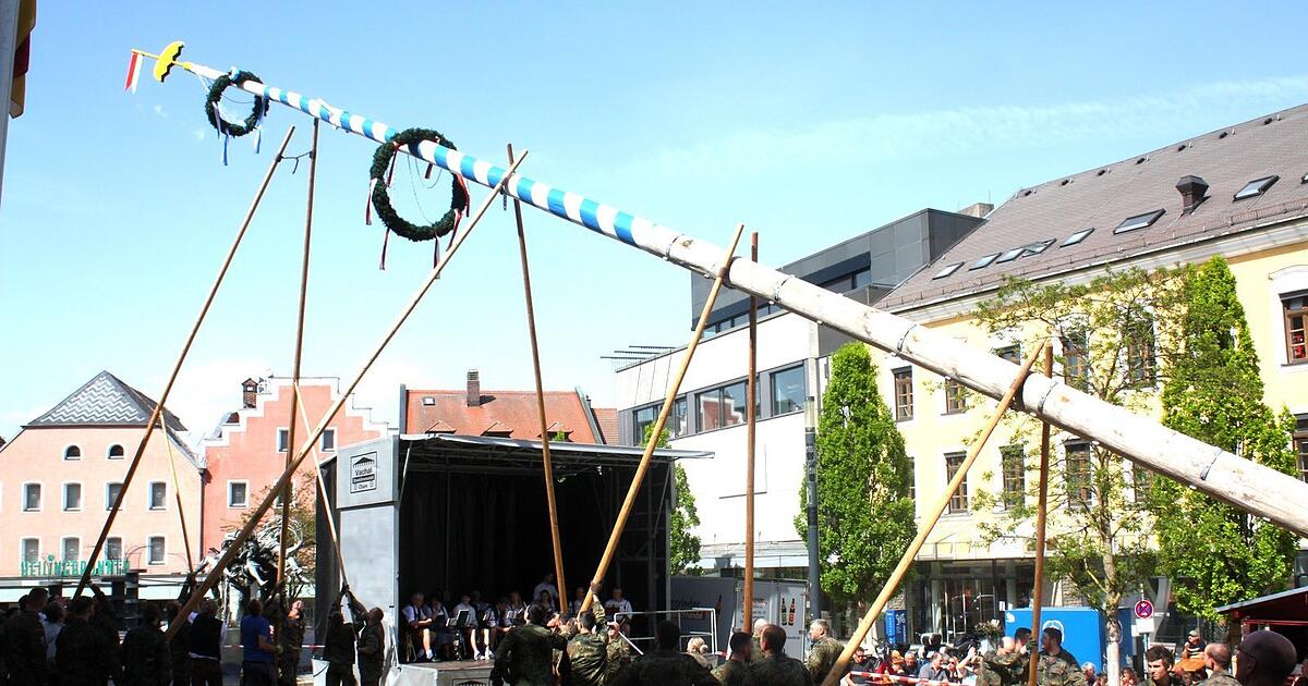 46 Soldaten hieven den Maibaum am Chamer Marktplatz in die Höhe