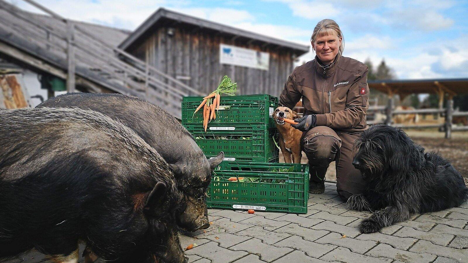Frauen sammeln Gemüse und Obst für Tiere