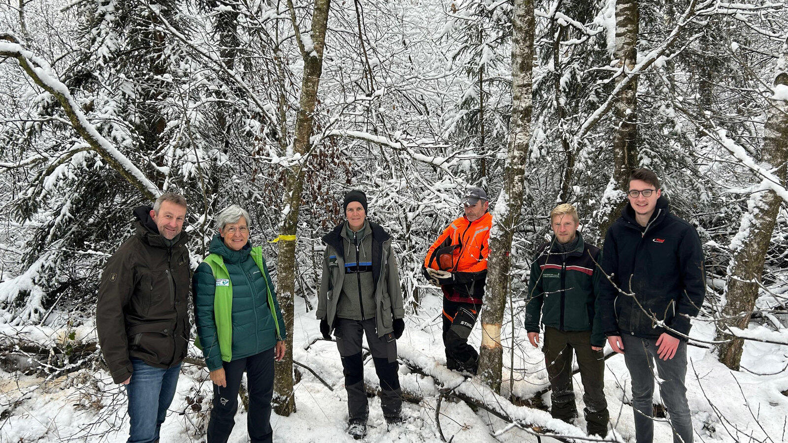 Die Moorbirke ist 'Baum des Jahres': Sie wächst auch im Arracher Moor