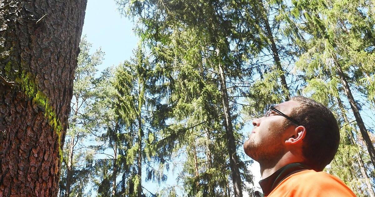 Tobias Ott erfüllt sich als Förster seinen Kindheitstraum