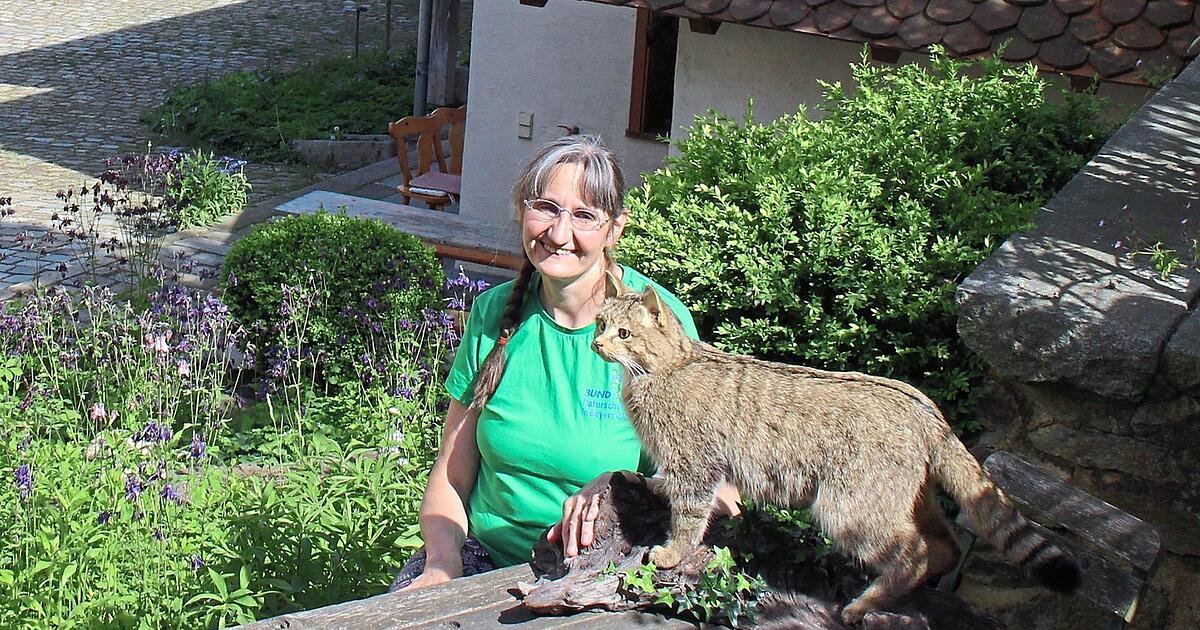 Ort für Naturfreunde in der Klostermühle Cham