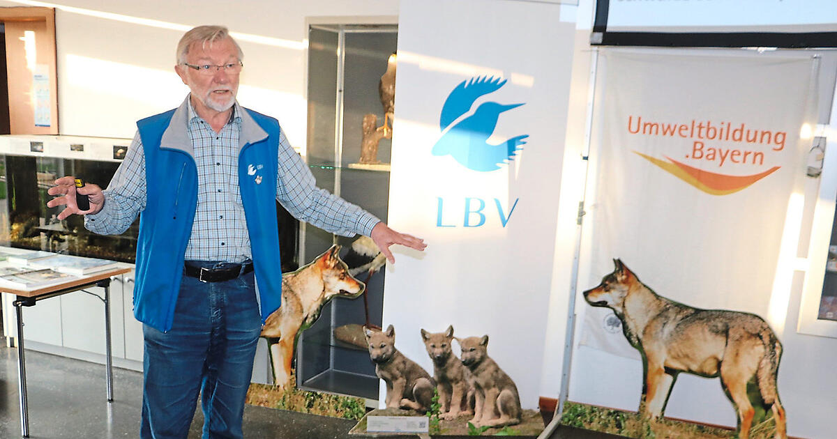 Willi Reinbold über den Wolf: Probleme und Lösungsansätze