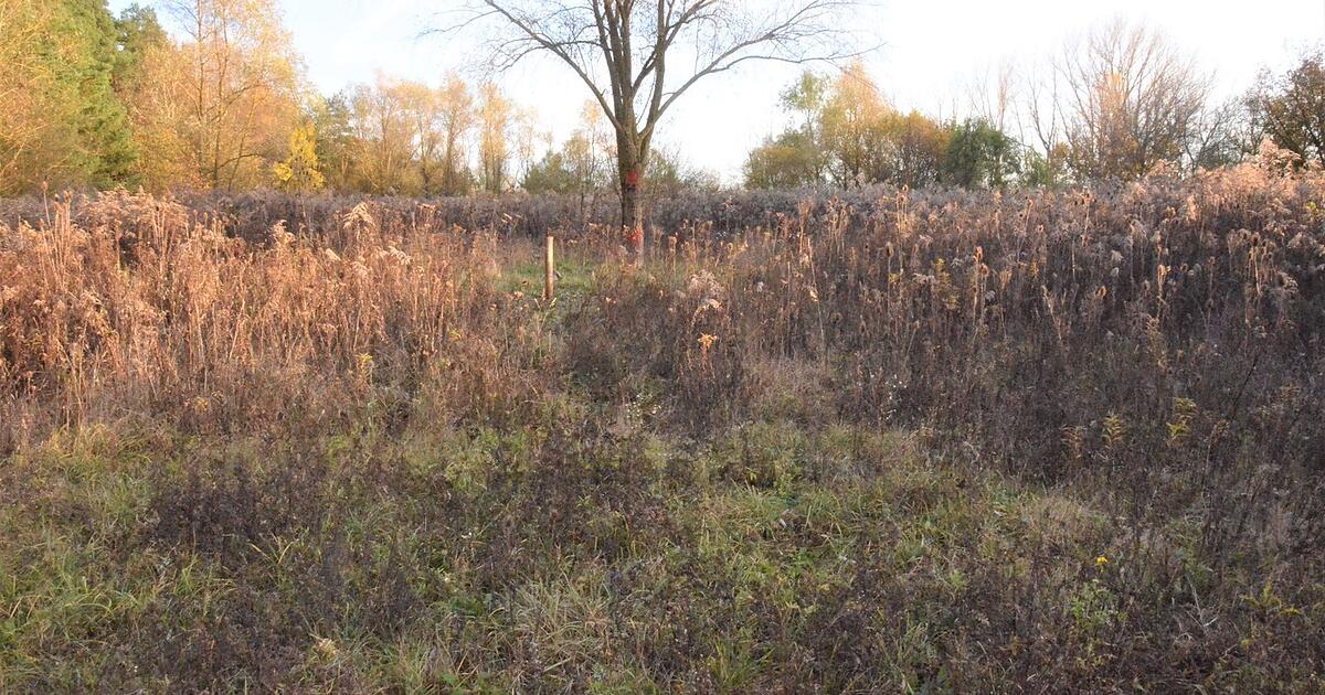 Sickerwasser aus Erddeponie schädigt womöglich das Grundwasser
