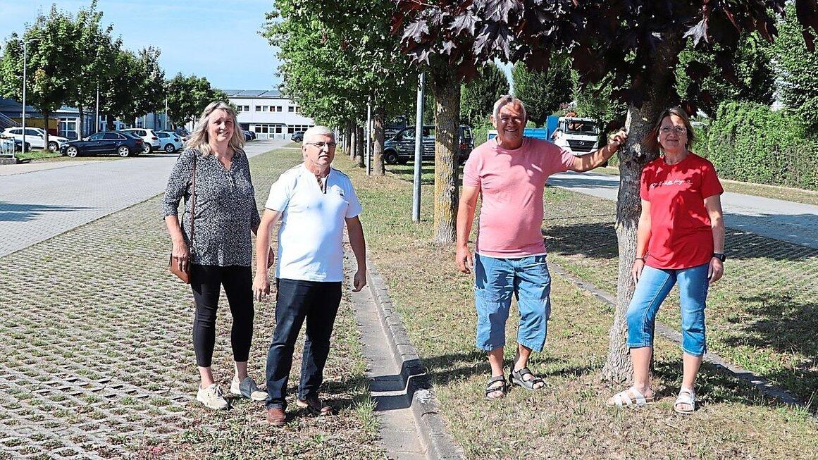 Den Flohmarkt am Lunapark in Plattling gibt es jetzt seit 30 Jahren