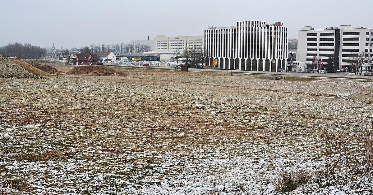 Die Bachner Group aus Mainburg hat Neubaupläne