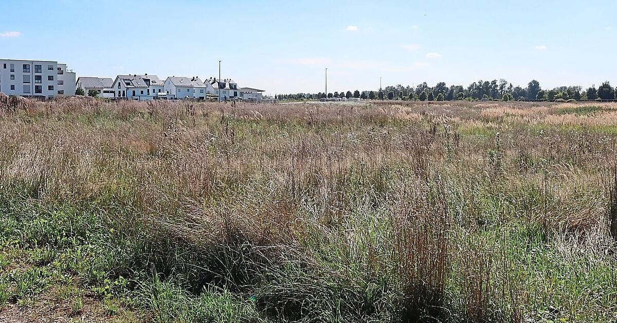 Erneute Ausschreibung für Moosburger „Sondergebiet Amperauen“