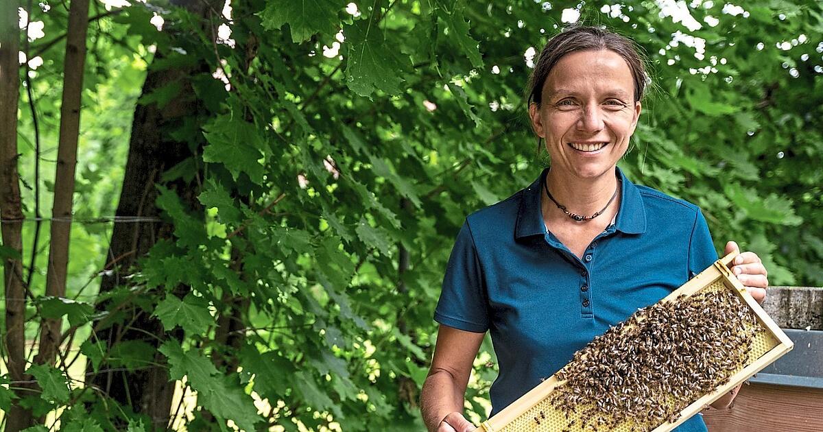Susanne Fischer kocht in BR-Sendung