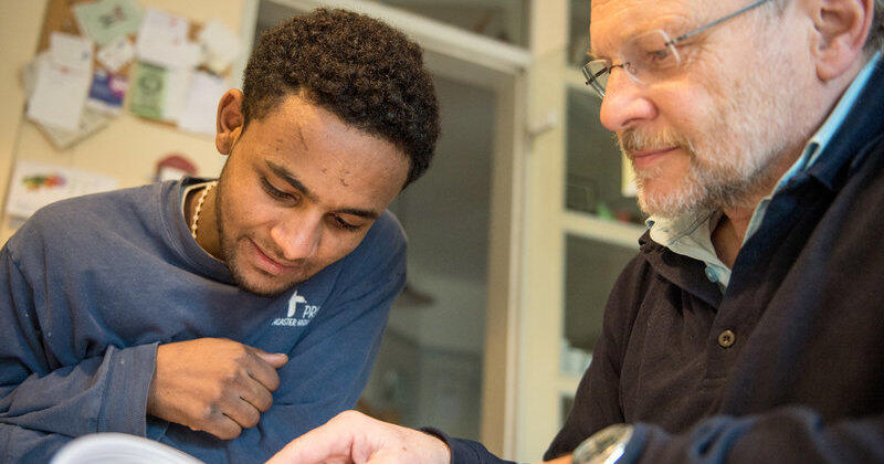 Ein neues Zuhause für Adel und Noah: Familien nehmen Flüchtlinge auf