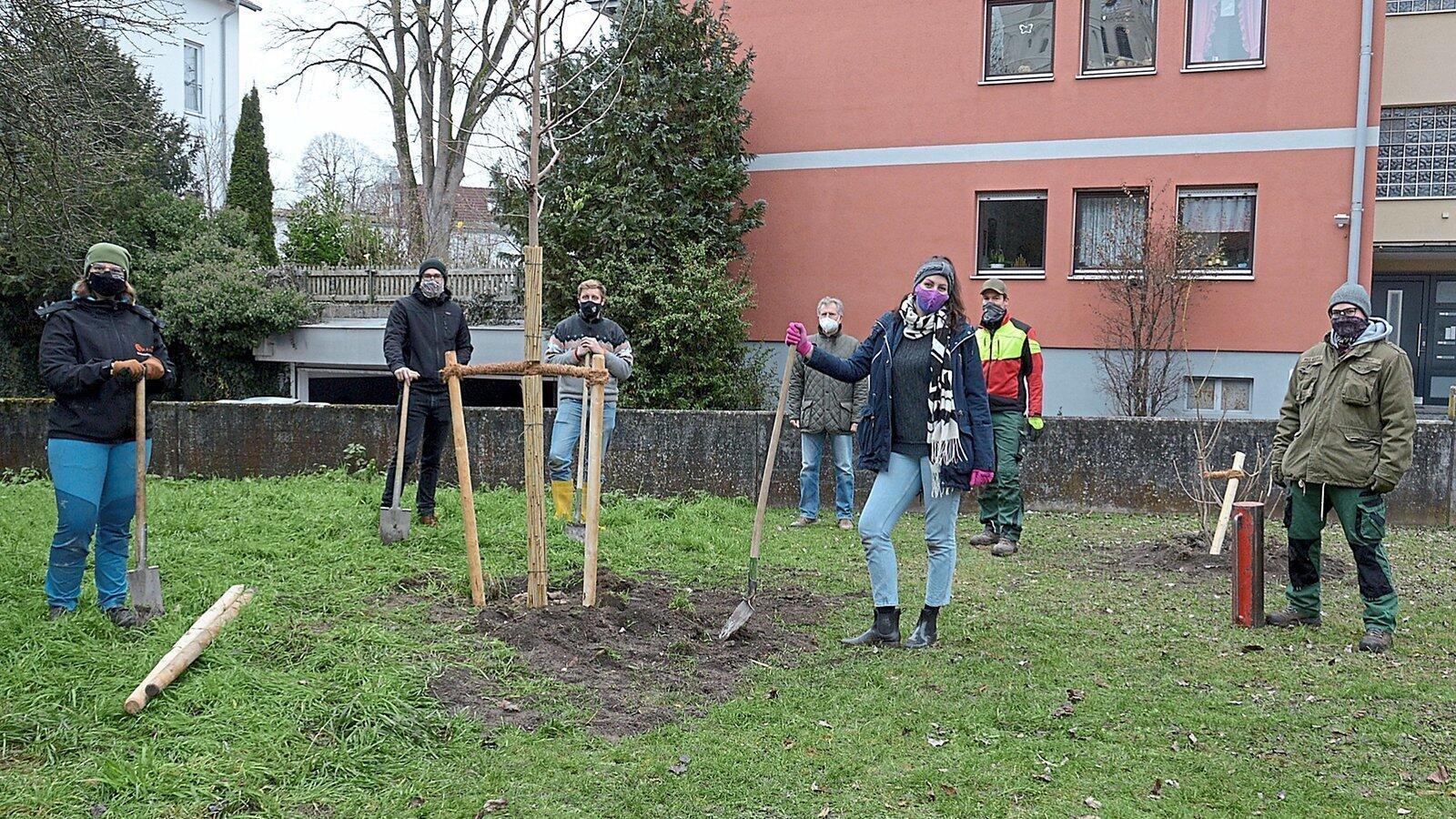 Neue Bäume braucht die Stadt