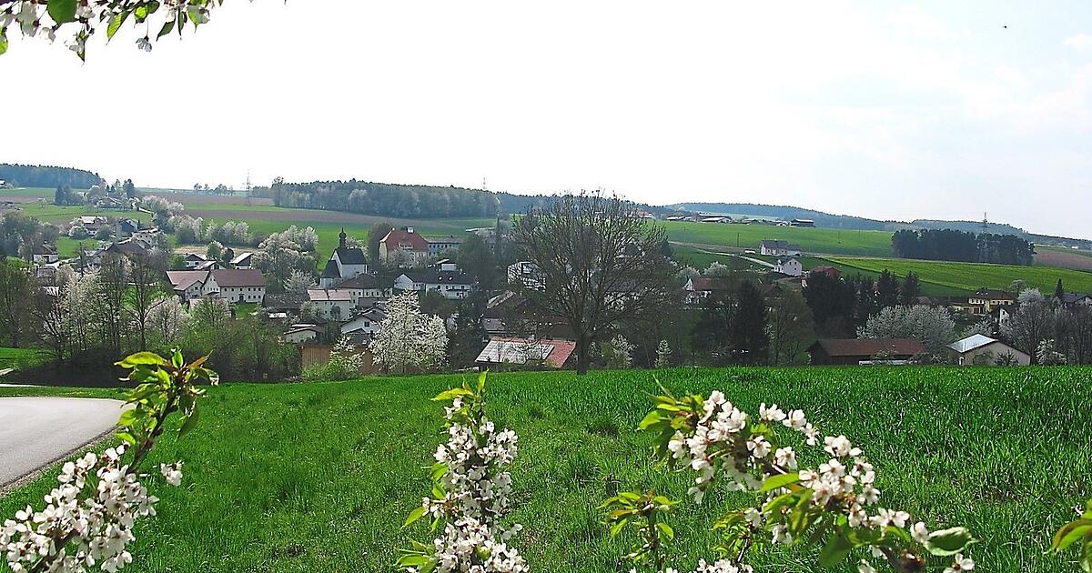 Stadt Roding ruft Wettbewerb aus