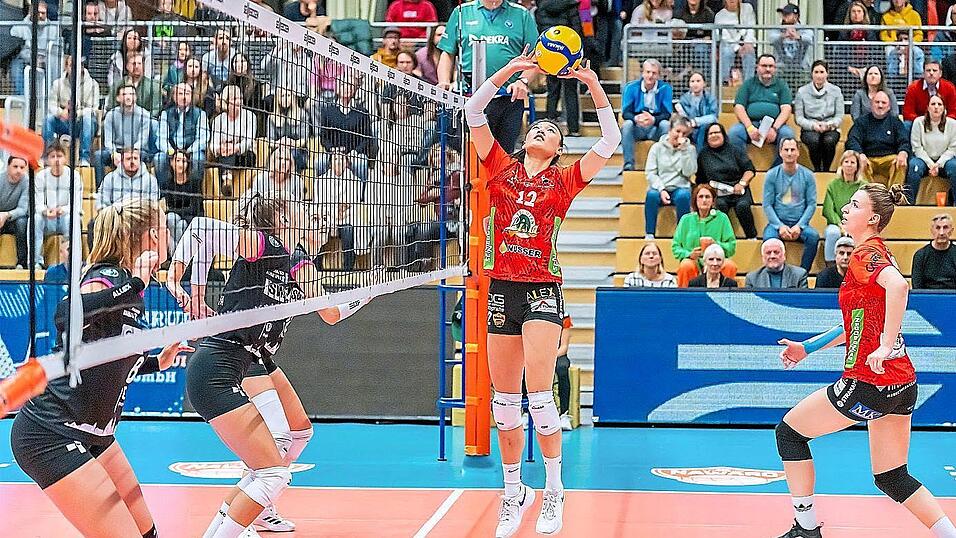 NawaRo Straubing 'spielt mit angezogener Handbremse'