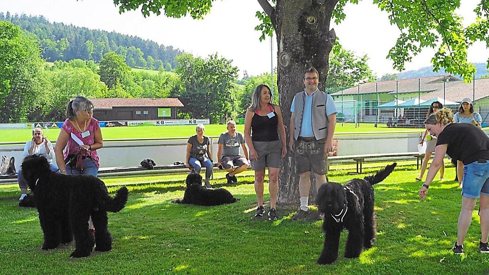 Das Hundetreffen der Schwarzen Russischen Terrier in Chamerau