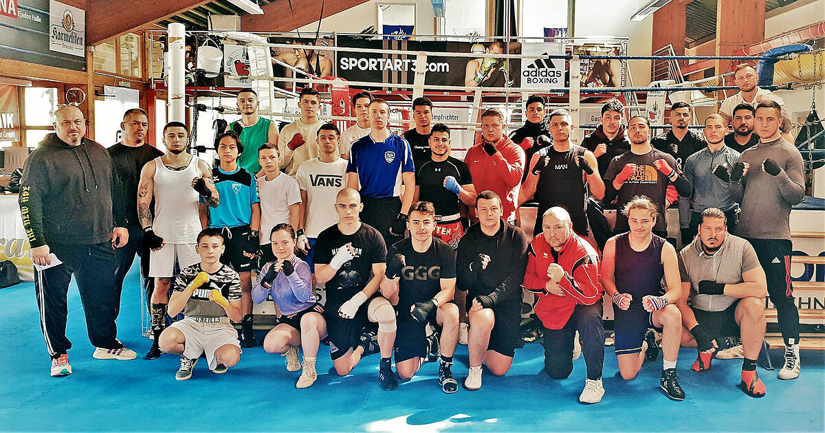 Wie die Boxer fit für die Zukunft werden wollen