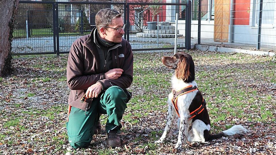 Hund „Schoko“ hilft Stadtgärtner bei der Suche nach kranken Bäumen