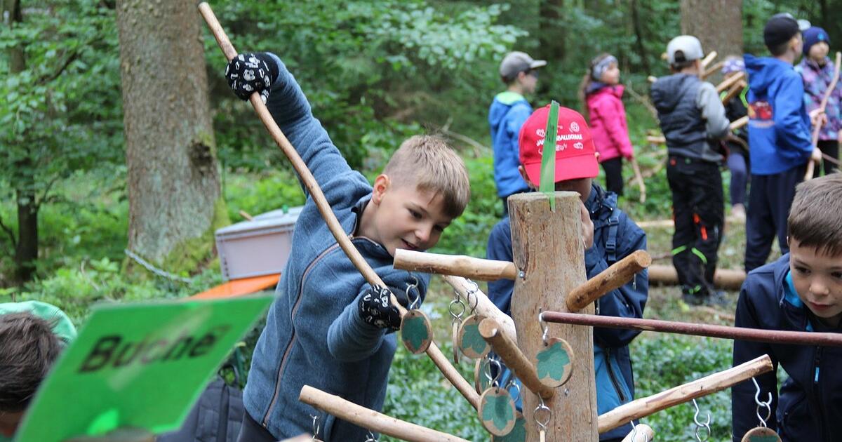 Lasset die lehrreichen Spiele im Wald bei Steinach beginnen