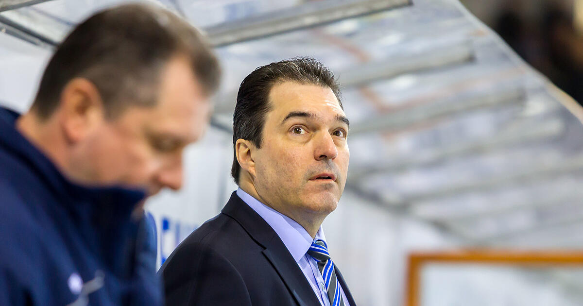 Wie stellt Larry Mitchell die neuen Tigers auf?