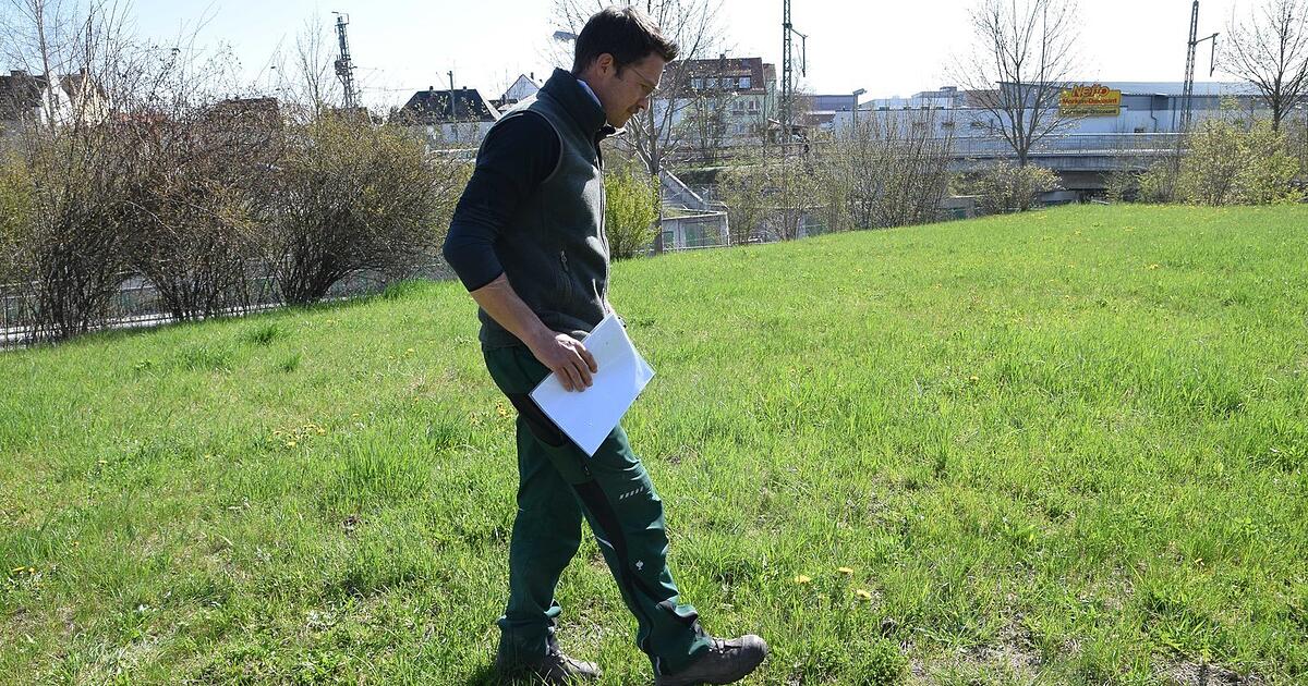 Hundekot auf Grünanlagen