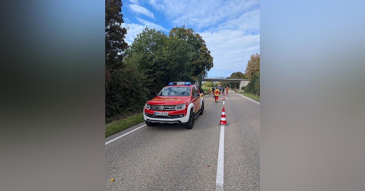 Pferd springt bei Langquaid aus Anhänger und kommt zu Tode